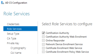 Install Active Directory Certification Authority (ADCS) on Windows Server - Power Sysadmin Blog